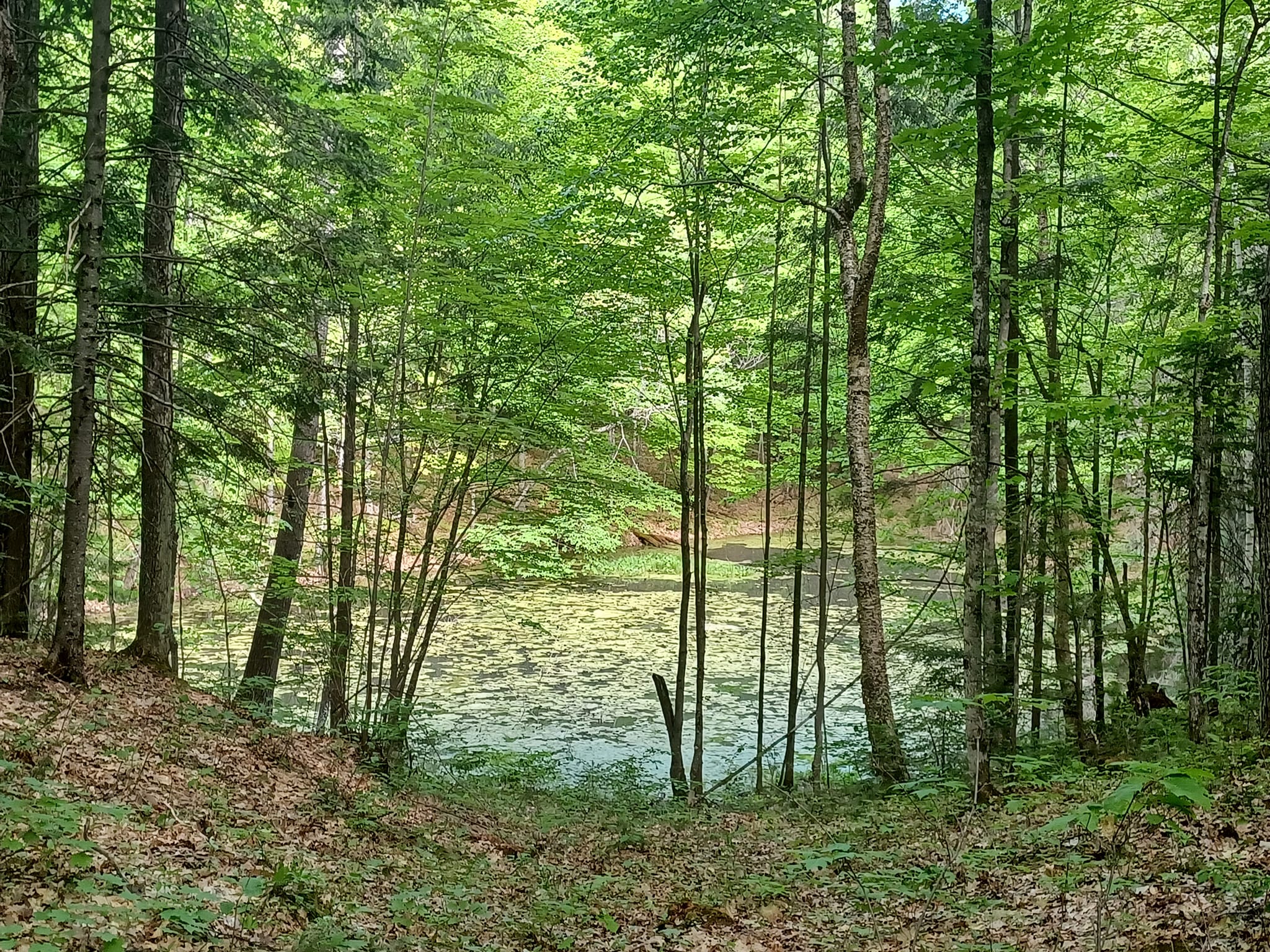 Exploring Nature's Symphony: Mountain Biking the Raven Trail in ...